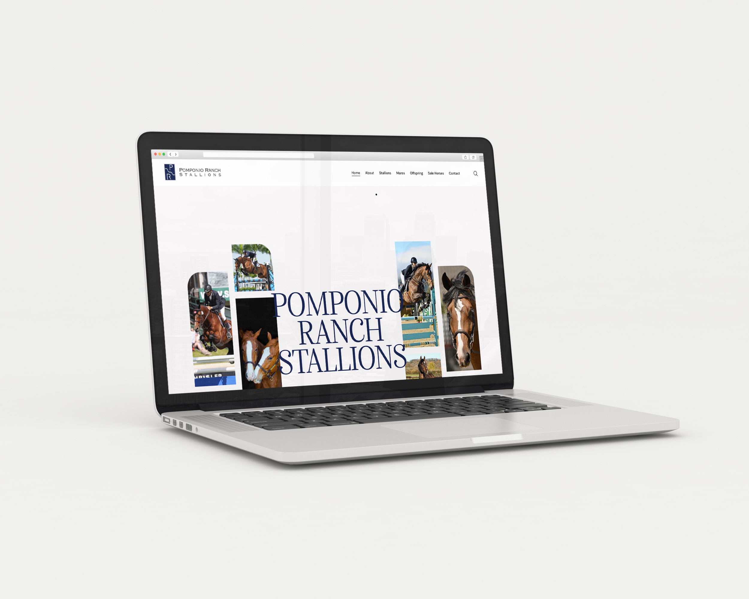 Pomponio Ranch Stallions - Kevin Vreeburg Portfolio